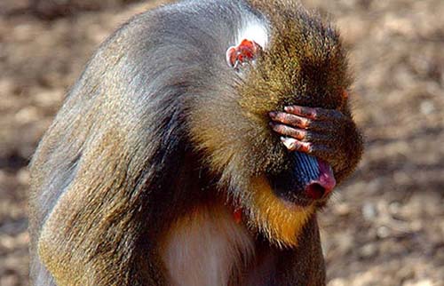 Why Data Hygiene Should Be a Priority | Journyx