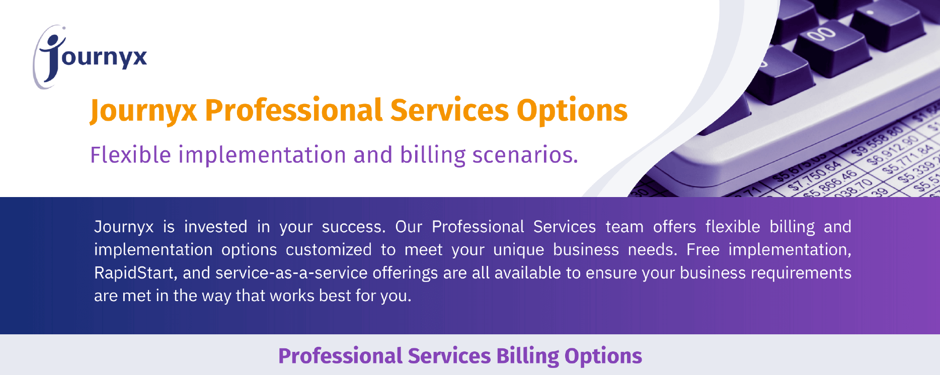 Datasheet: Journyx Professional Services